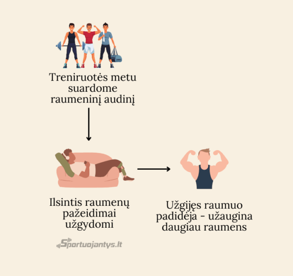 Raumenų Skausmas Po Sporto [Kaip Sumažinti?] - Sportuojantys